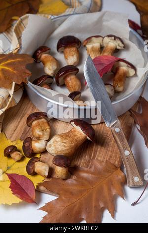 Autumn composition of several Imleria Badia or Boletus badius mushrooms ...