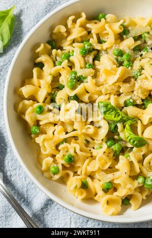Italian Homemade Gigli Pasta Meal with Basil Cheese and Peas Stock ...