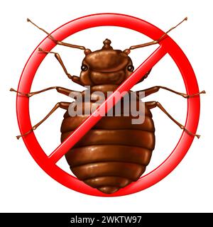 bedbug, bug, bedbugs, bugs Stock Photo - Alamy