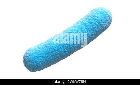 Bacteria. Bacterium. Blue color. Prokaryotic microorganisms. Isolated ...