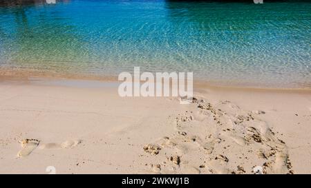 Horseshoe Bay Beach and Deep Bay Beach in Hamilton, Bermuda Stock Photo ...