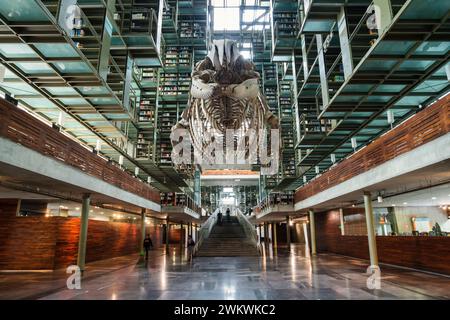 Modern architecture at the Biblioteca Vasconcelos in Mexico City ...