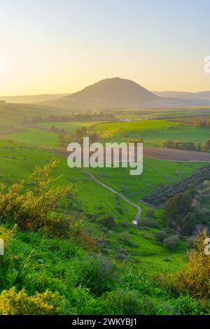 Sunset view of the Tabor Stream landscape, with countryside, Mount ...