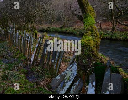 Afon Dulas flowing through valley, Gwynedd Wales Stock Photo - Alamy