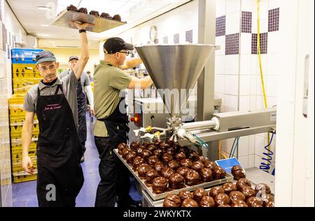 DEN BOSCH - Bossche bulbs in the bakery of Banketbakkerij Jan de Groot ...