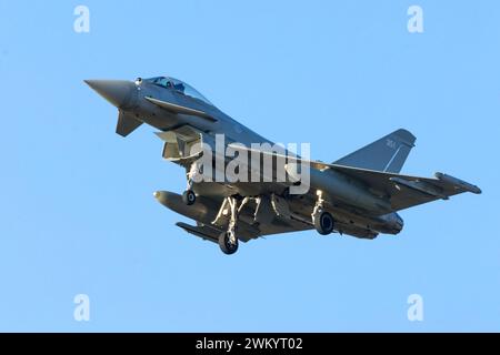 Royal airforce typhoon military plane in flight Stock Photo - Alamy