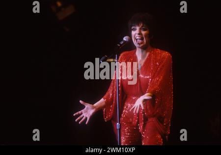Liza Minnelli, American actress, singer, dancer, during a TV ...