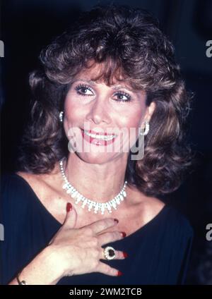 1985 Michele Lee John Barrett/PHOTOlink Stock Photo - Alamy