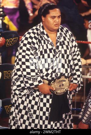 1985 Yokozuna Photo by John Barrett/PHOTOlink Photo via Credit: Newscom ...