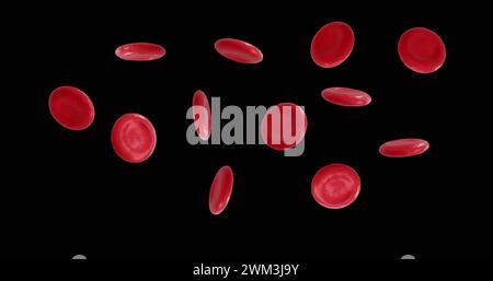 Image of micro of red blood cells on black background Stock Photo - Alamy