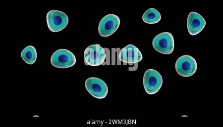 Image of micro of blue and turquoise cells on light spots on blue ...