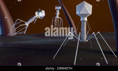 T4 bacteriophage structure, illustration Stock Photo - Alamy