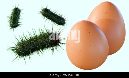 3d rendering salmonella and eggs, Salmonella infects the ovaries of ...