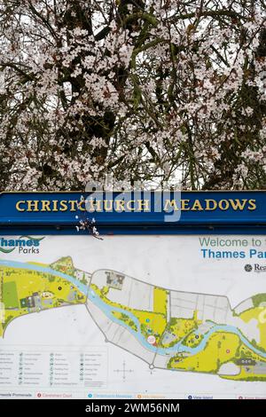 Christchurch Meadows Sign, with Cherry Tree, Caversham, Reading ...