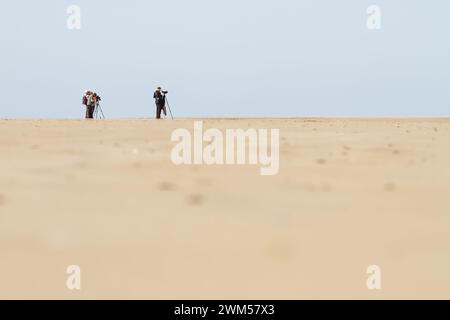Twitchers / Birdwatchers - with telescopes and Stock Photo - Alamy
