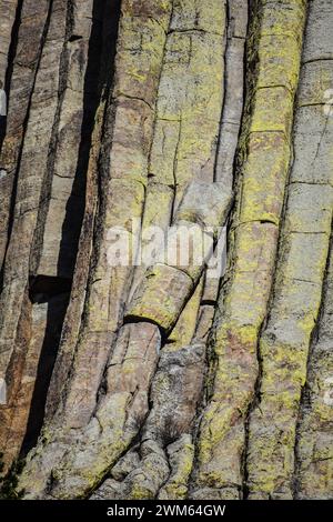 Basalt column of Devils Tower National Monument in Wyoming rising above ...