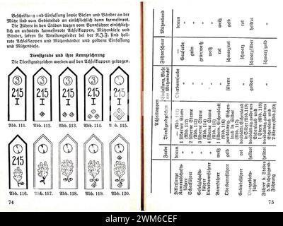 'SA und SS Aufbau Dienstgrade Abzeichen'', German poster showing Nazi ...