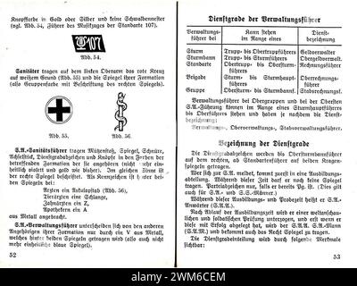 'SA und SS Aufbau Dienstgrade Abzeichen'', German poster showing Nazi ...