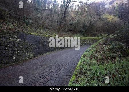 Mountain road bordered by a forest in the rain Stock Photo - Alamy