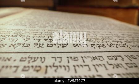 Exploring sacred jewish heritage scriptures on hebrew. Details of the ...