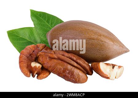 broken pecan nut isolated on white background with full depth of field ...