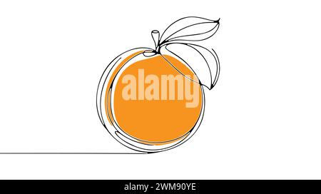 Orange fruit in continuous line art drawing style. Black line sketch on ...