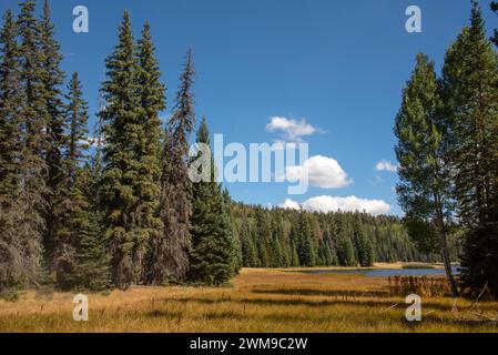 White Mountain Apache Reservation AZ / SEPT Early morning in late ...