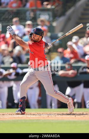 Boston Red Sox Nathan Hickey (98) at bat during an MLB Spring Training ...