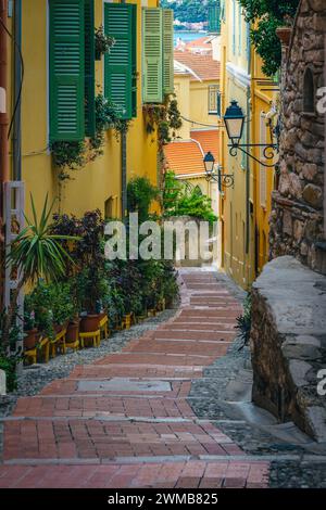 Old stone houses decorated with flower pots, diagonally laid brick ...