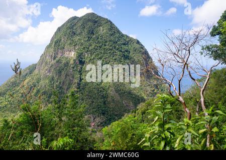 The iconic Gros Piton seen from Tet Paul nature trail - Saint Lucia ...
