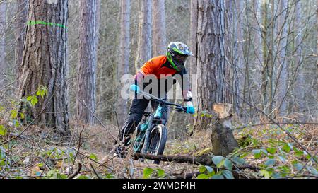 Day out in the forest. MTB trails. Mountain bike cycling in forest ...