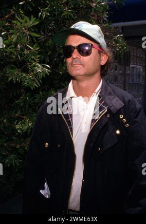 Bill Murray Circa 1990's Credit: Ralph Dominguez/MediaPunch Stock Photo ...