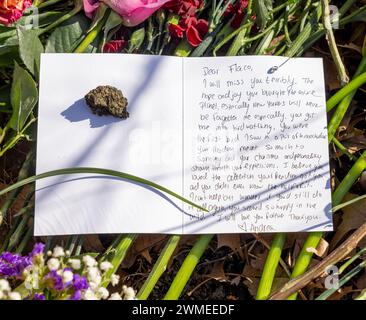 Tribute memorial for Flaco the Owl at Central Park, New York City, USA ...