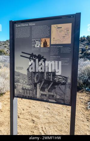 hiking the lost horse mine loop trail in joshua tree national park in ...