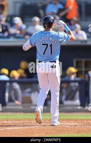Port Charlotte, FL: Tampa Bay Rays pitcher Logan Workman (92) delivers ...