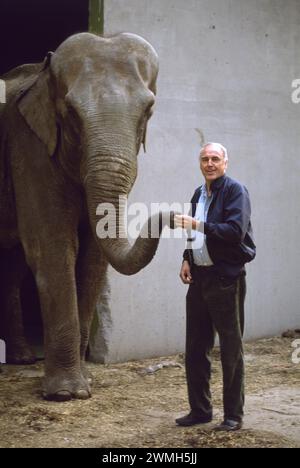 First Gulf War: 19th March 1991 Carcasses of dairy cattle litter the ...