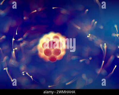 The electron cloud model helps visualize the most probable position of ...
