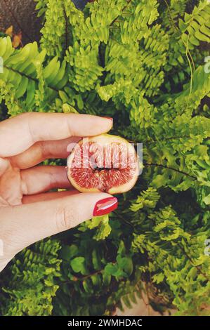 Close up of hand holding a partially eaten burger Stock Photo - Alamy