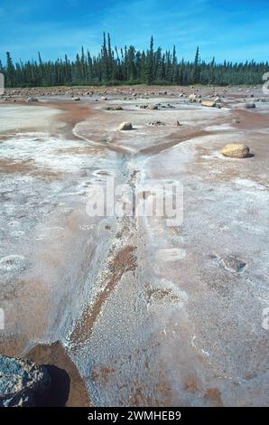Salt Flats, Wood Buffalo National Park, Alberta, Canada Stock Photo - Alamy
