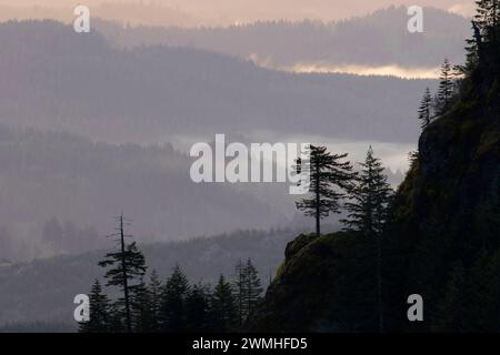 Summit viewpoint, Saddle Mountain State Park, Oregon Stock Photo - Alamy