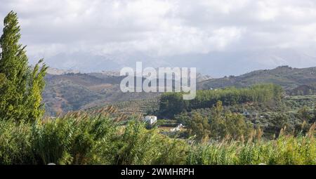 Island of Crete with plantation of citrus trees and fruits in the ...