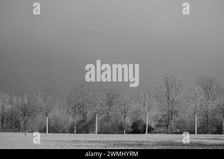 spring time at barlo in germany Stock Photo - Alamy