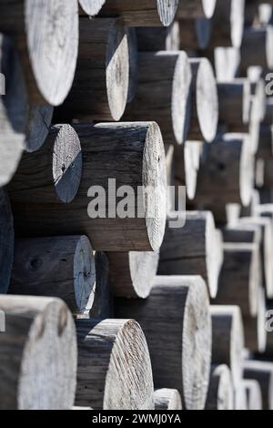 A collection of logs stacked on wooden poles Stock Photo - Alamy