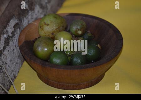 Araçá or Cattley guava fruit with scientific name (Psidium Cattleianum ...