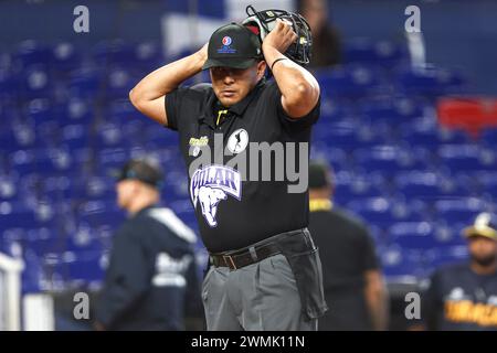 MIAMI, FLORIDA - FEBRUARY 2: Ampayer of Cenfederacion Beisbol de Caribe ...