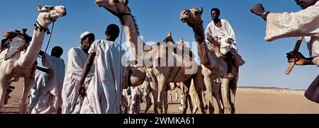 Baggara people on journey to the south of Sudan; Sudan Stock Photo - Alamy