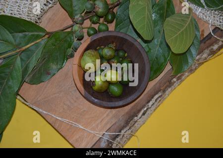 Araçá or Cattley guava fruit with scientific name (Psidium Cattleianum ...