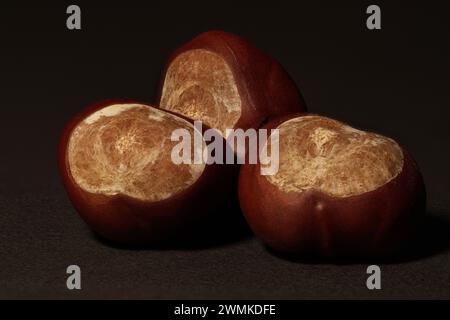 Horse Chestnut seeds aka conkers Stock Photo - Alamy