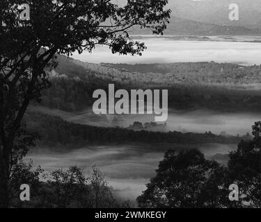 Beautiful swirls of clouds on a blue sky above the trees. Blue sky ...