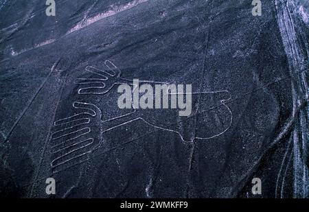 Animal figures as well as geometric shapes are part of the mysterious ...